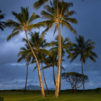 In-Grade Fixtures - Beachside Lighting Honolulu | Maritime & Exterior